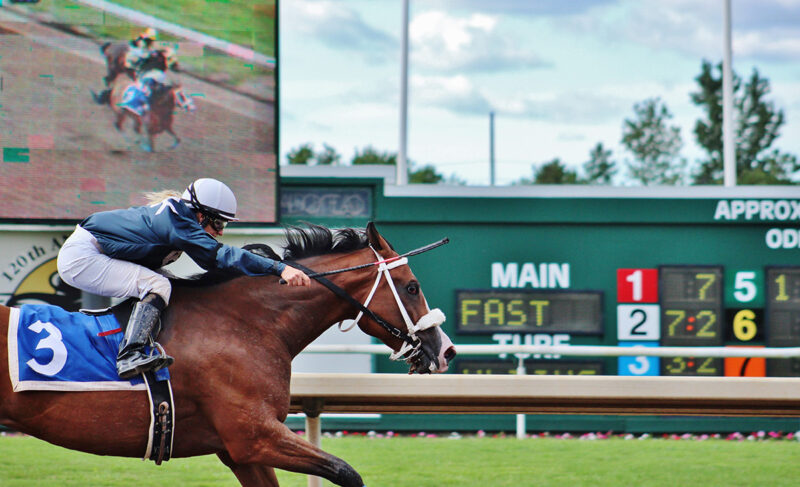 Helen Vanek - Jockeys Canada