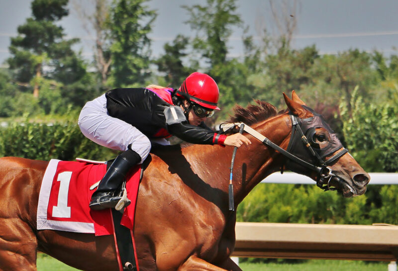 Helen Vanek - Jockeys Canada