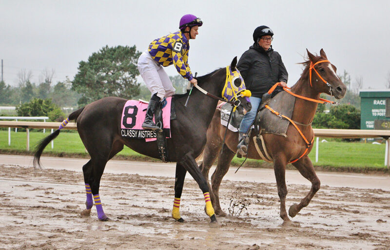 Helen Vanek - Jockeys Canada