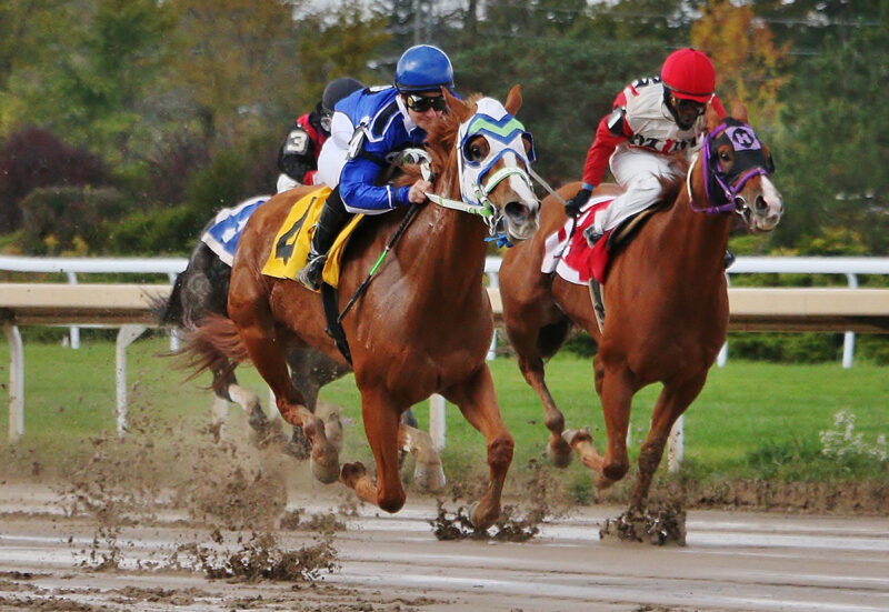 Helen Vanek - Jockeys Canada