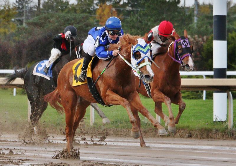 Helen Vanek - Jockeys Canada