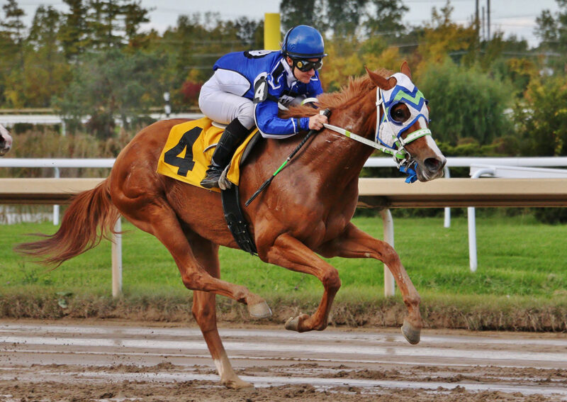 Helen Vanek - Jockeys Canada