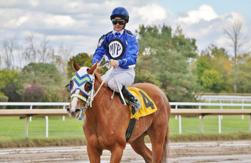 Helen Vanek - Jockeys Canada
