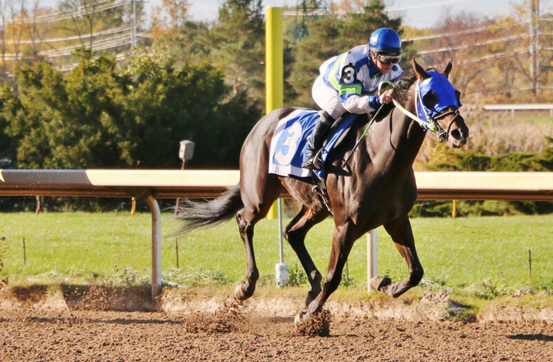 Helen Vanek - Jockeys Canada