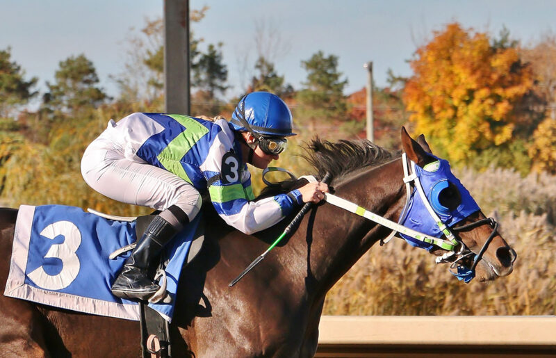 Helen Vanek - Jockeys Canada