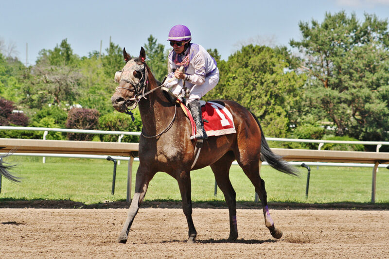 Isabelle Wenc - Jockeys Canada