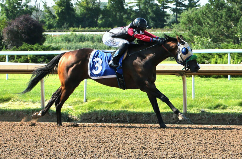 Kirk Johnson - Jockeys Canada