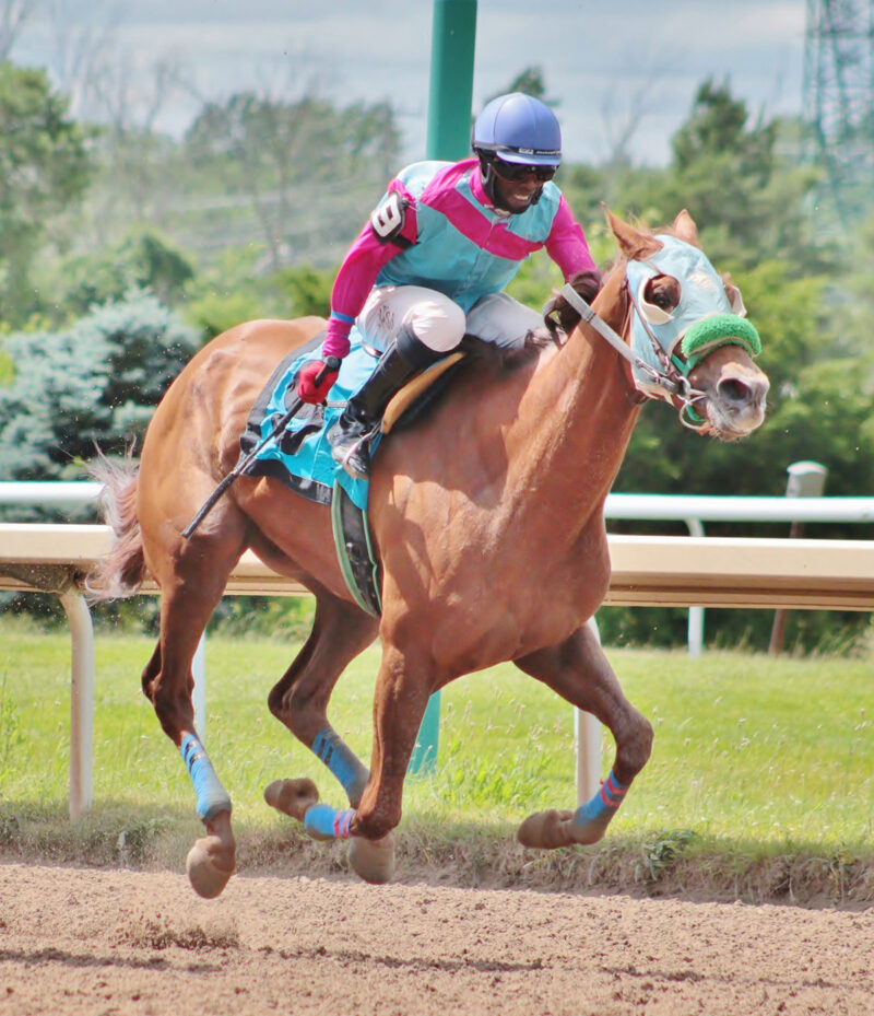 Kirk Johnson - Jockeys Canada