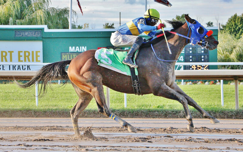 Kirk Johnson - Jockeys Canada