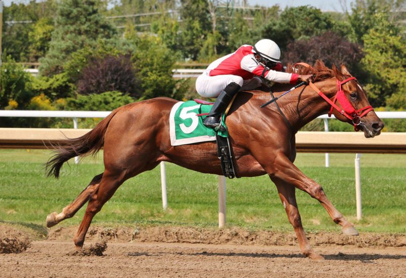 MarkLee Buchanan - Jockeys Canada