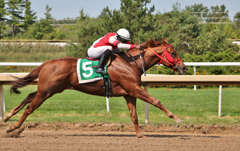 MarkLee Buchanan - Jockeys Canada