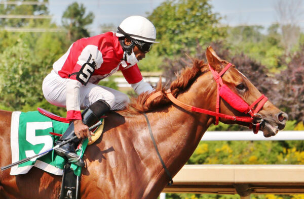 MarkLee Buchanan - Jockeys Canada