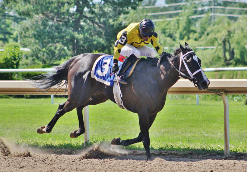 MarkLee Buchanan - Jockeys Canada