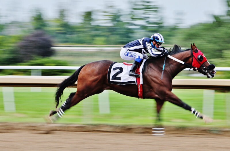 Michael David - Jockeys Canada