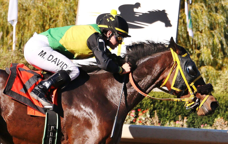 Michael David - Jockeys Canada