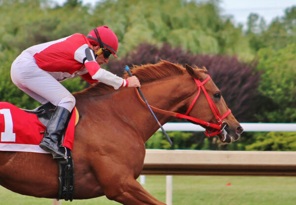 Pierre Mailhot - Jockeys Canada