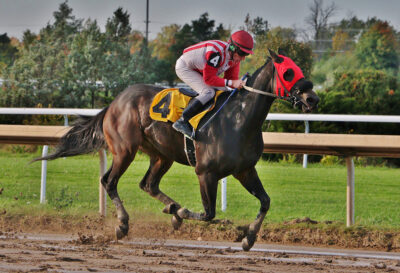 Pierre Mailhot - Jockeys Canada