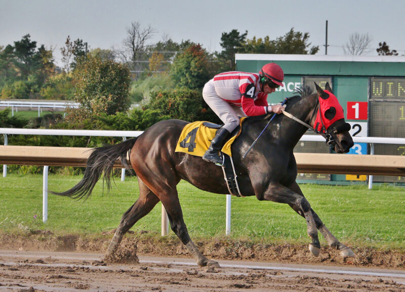 Pierre Mailhot - Jockeys Canada