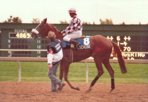 Sandy Hawley - Jockeys Canada
