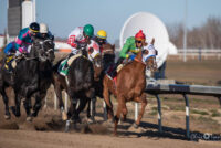 Century Miles Racetrack - Jockeys Canada