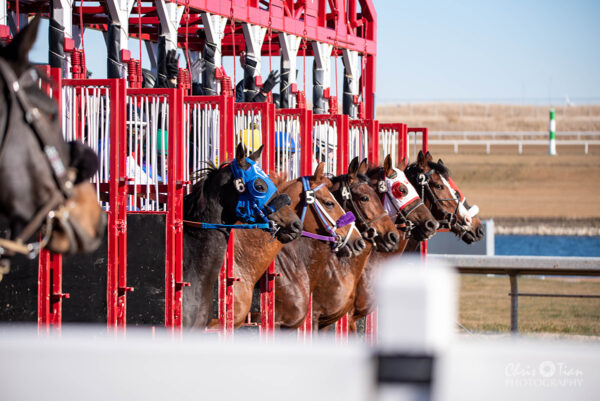 Century Miles Racetrack - Jockeys Canada