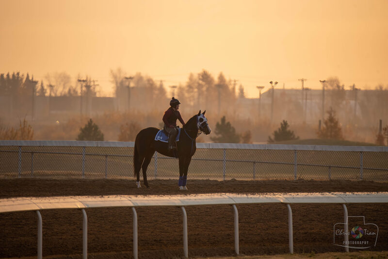 Century Miles Racetrack - Jockeys Canada
