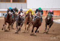 Century Miles Racetrack - Jockeys Canada