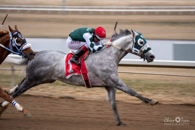 Century Miles Racetrack - Jockeys Canada