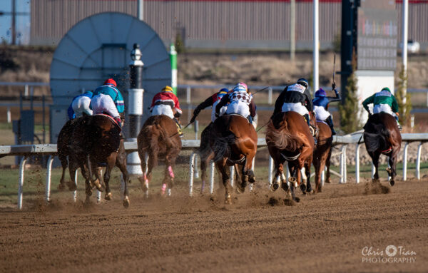 Century Miles Racetrack - Jockeys Canada