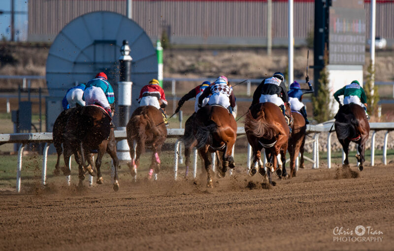Century Miles Racetrack - Jockeys Canada