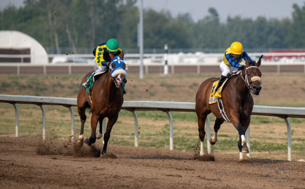 Enrique Alonzo Gonzalez - Jockeys Canada