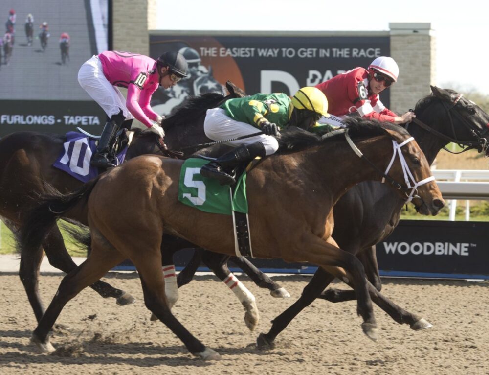 Amanda Vandermeersch - Jockeys Canada