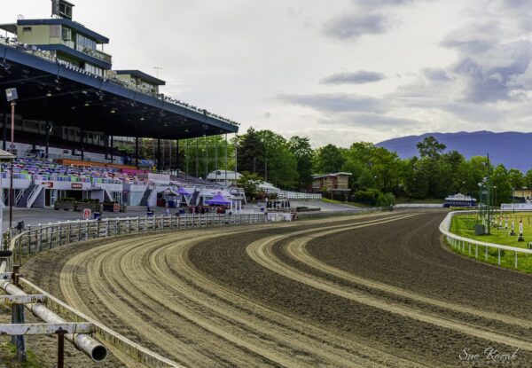 Hastings Racecourse - Jockeys Canada
