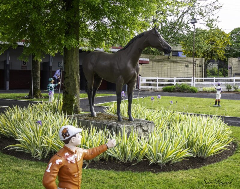 Hastings Racecourse - Jockeys Canada