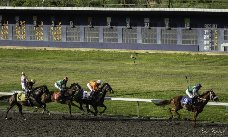 Hastings Racecourse - Jockeys Canada