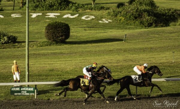 Hastings Racecourse - Jockeys Canada