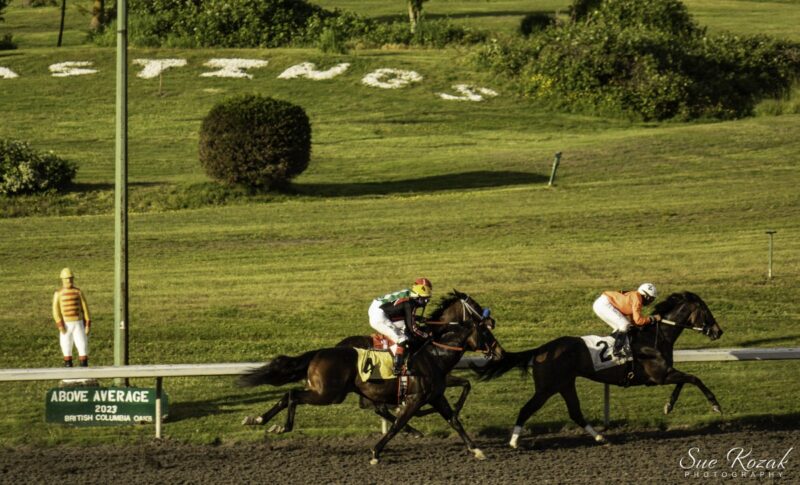 Hastings Racecourse - Jockeys Canada