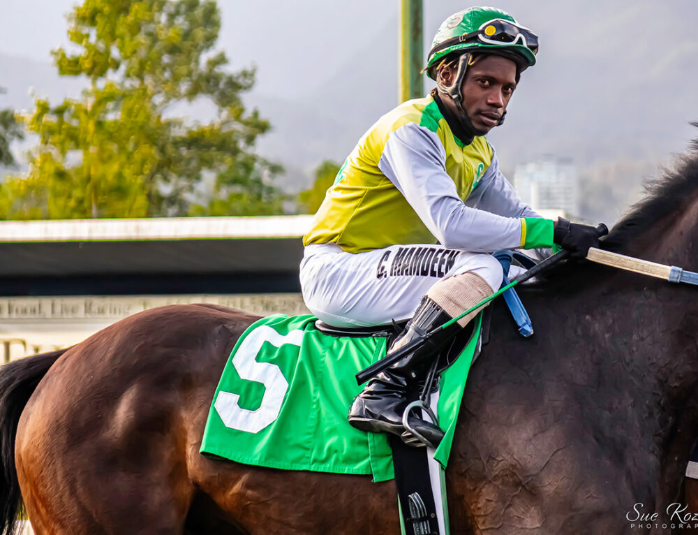 Christopher Husbands - Jockeys Canada