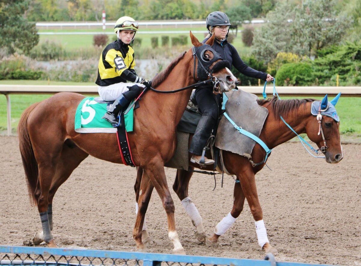 Fraser Aebly - Jockeys Canada