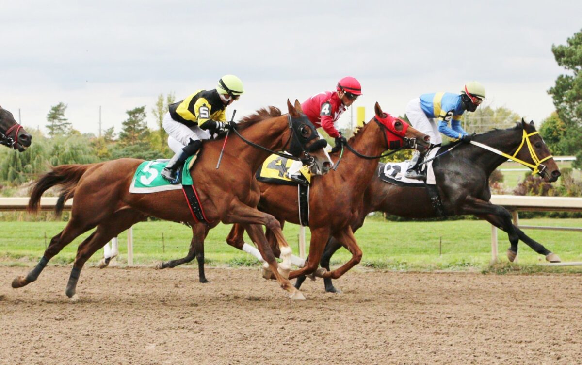 Fraser Aebly - Jockeys Canada