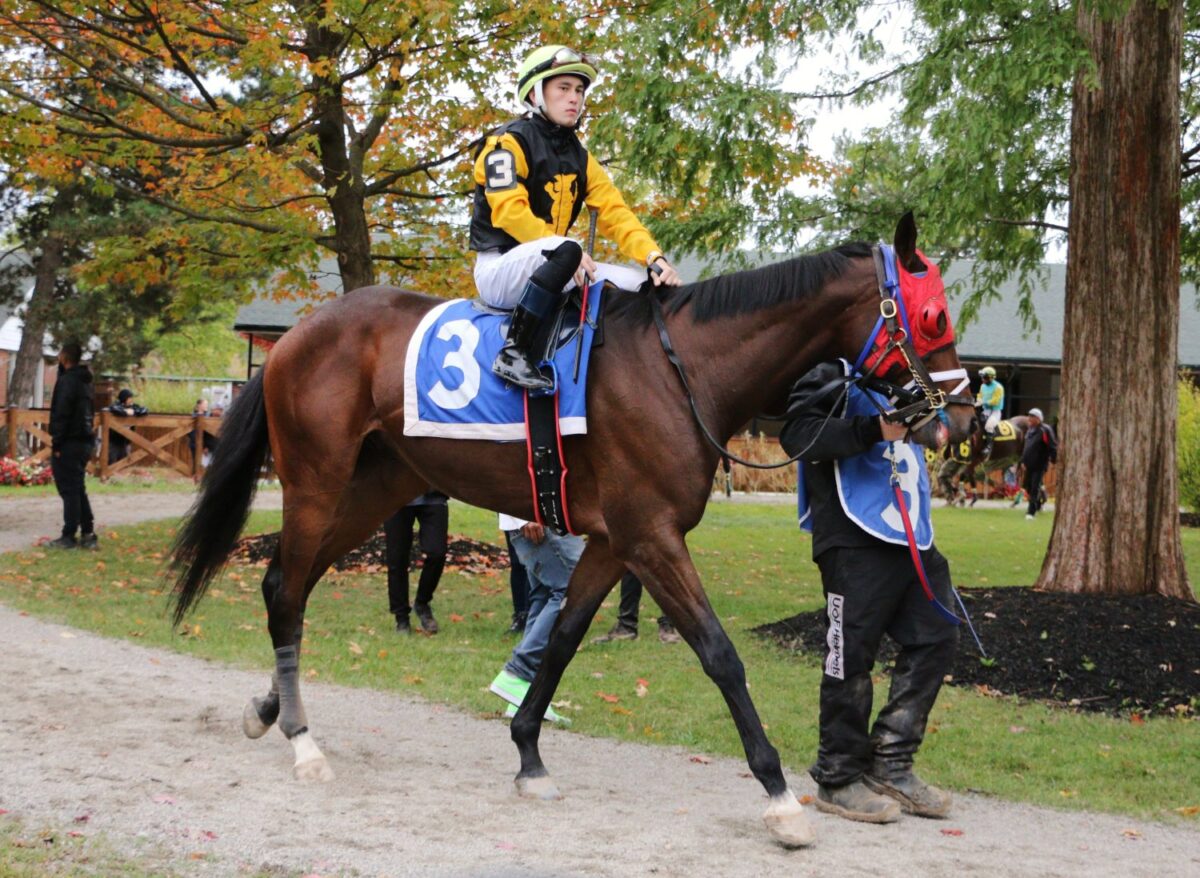 Fraser Aebly - Jockeys Canada