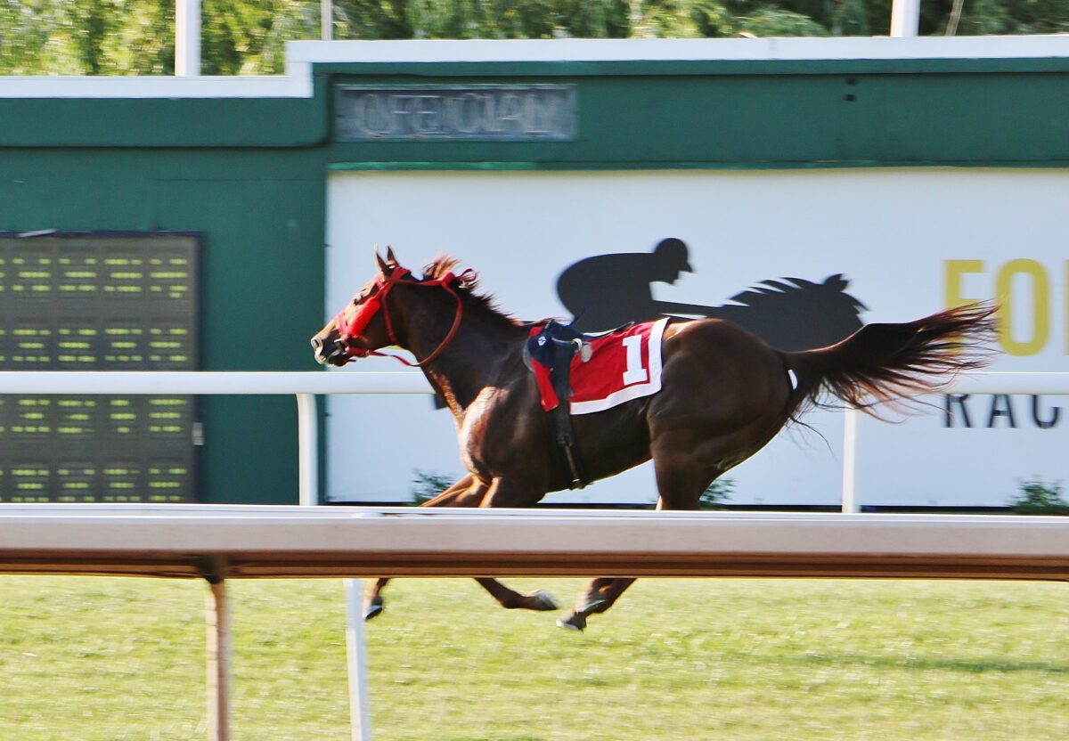 Mary Jane Sibbitt - Jockeys Canada