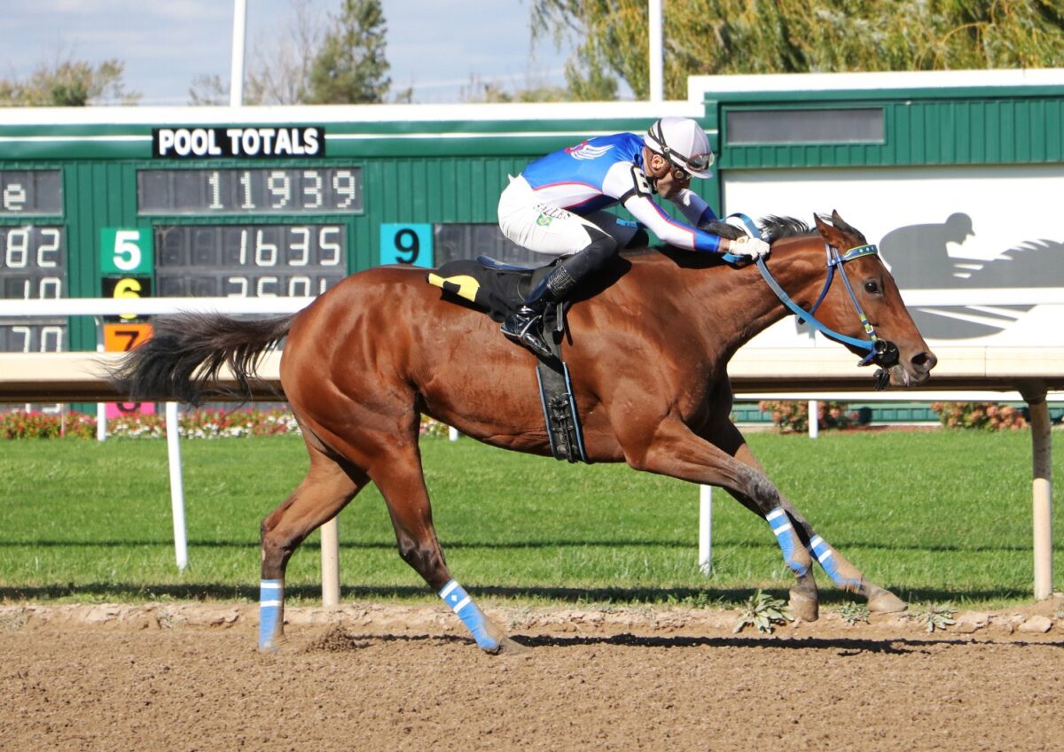 Jocks - Jockeys Canada